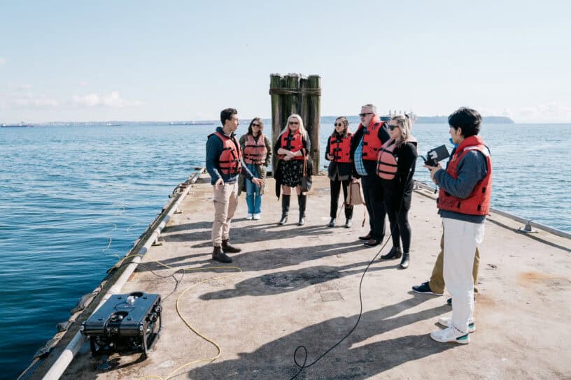 Ocean Wise Launches Kelp Nursery to Restore Vital Ocean Habitats ...